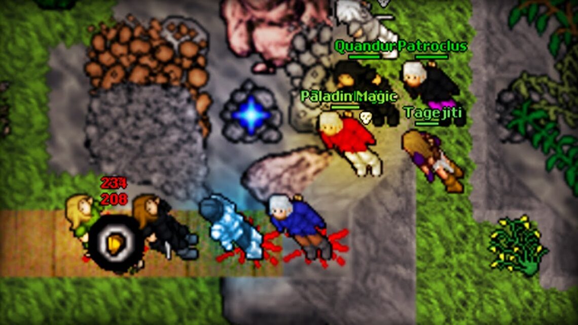 Tibia registra receita de mais de 22 milhões de euros apenas em 2022 e ...