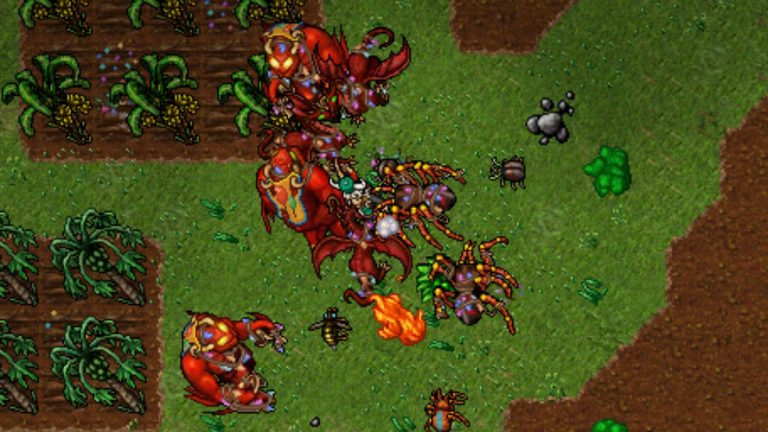 Tudo sobre Tibia : últimas notícias, como jogar, data de lançamento e mais