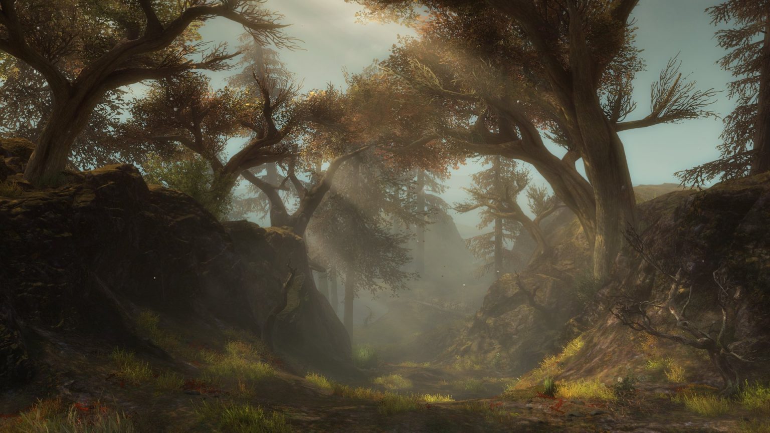 ArenaNet revela uma nova funcionalidade para 'Guild Wars 2' e uma ...